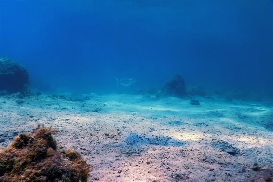 Deep-Sea Mining: 44 Years of Ecological Consequences in CCZ