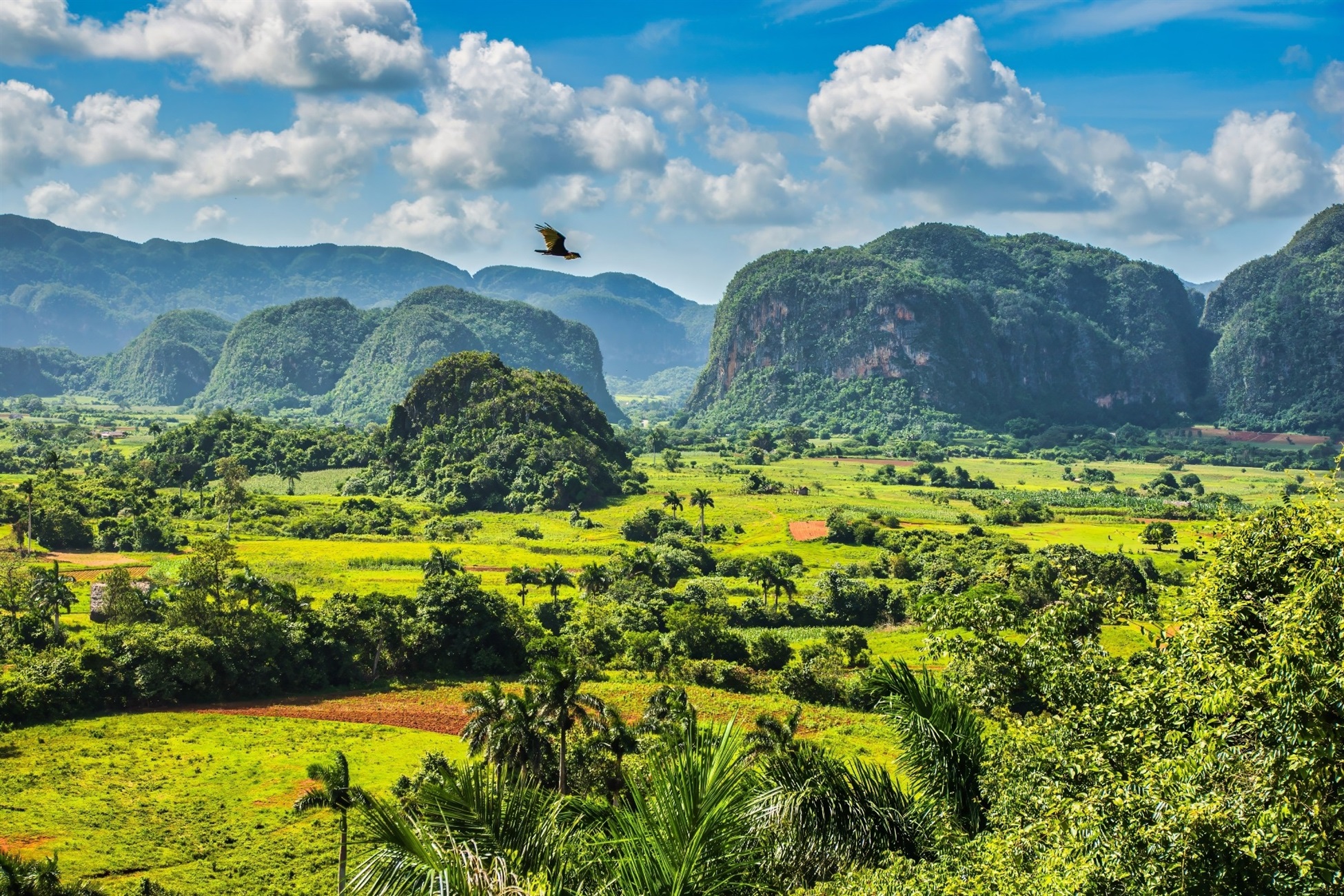 Cuba: Mining, Minerals and Fuel Resources